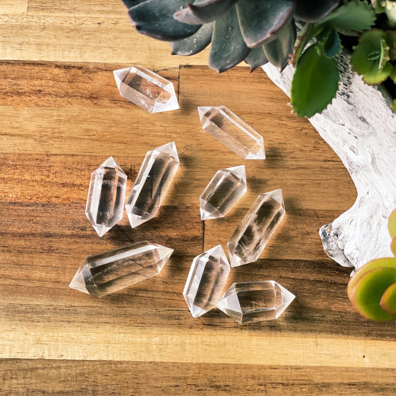 Miami Mining Co | Gem Mining in South Florida