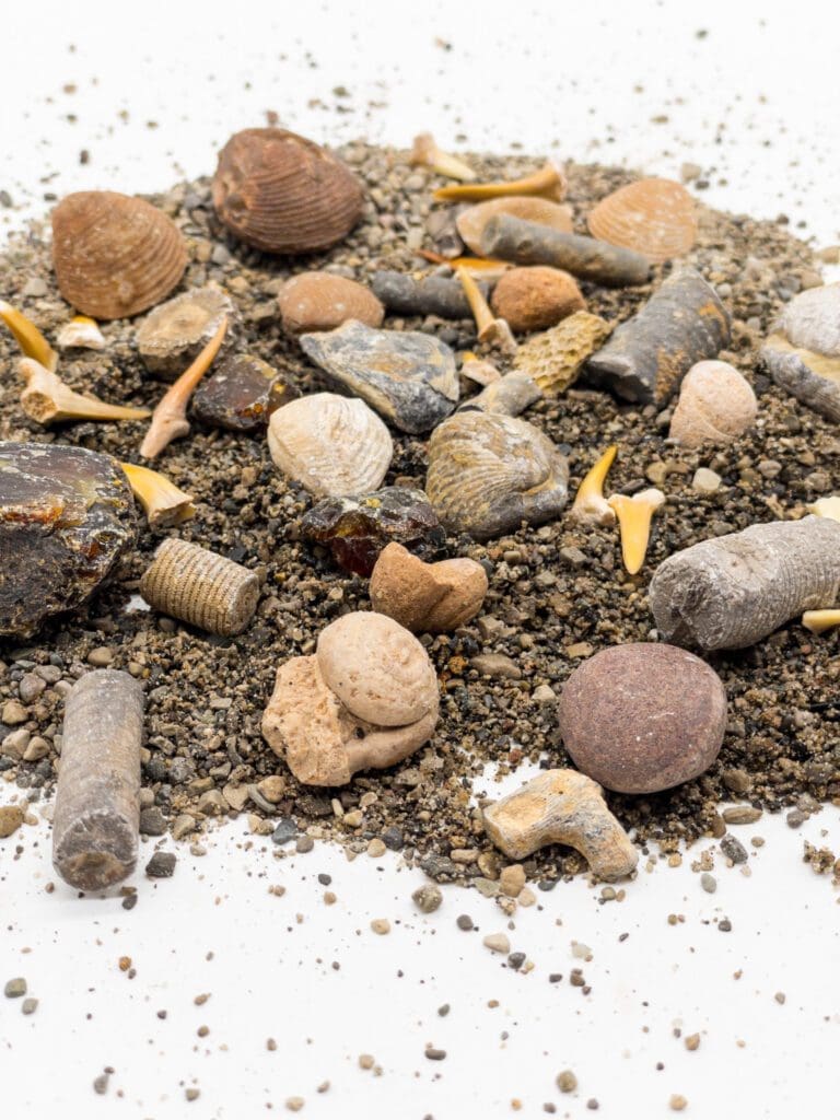 Discover Florida's Underground Wonders: Florida Gem Mining Guide