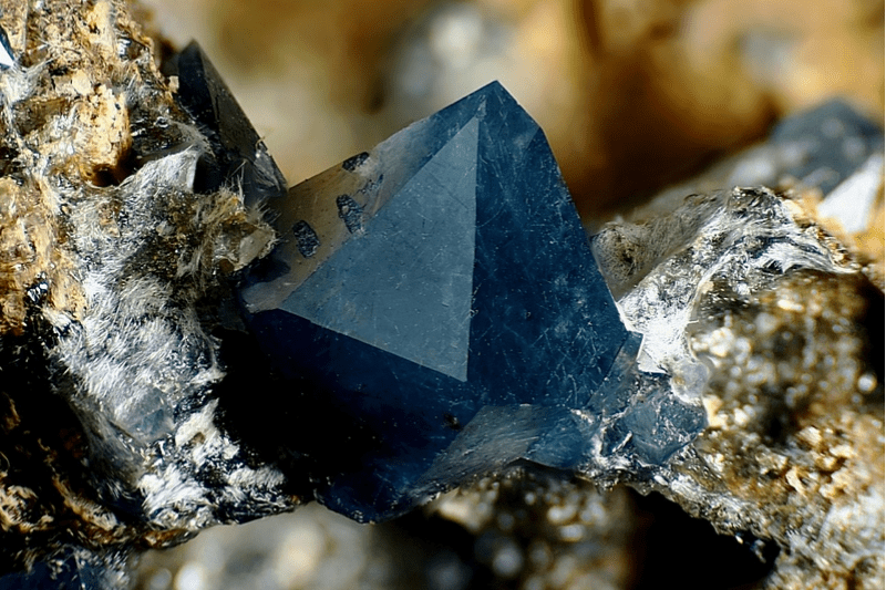 Digging Deep in Alabama: Your Ultimate Guide to Gem Mining