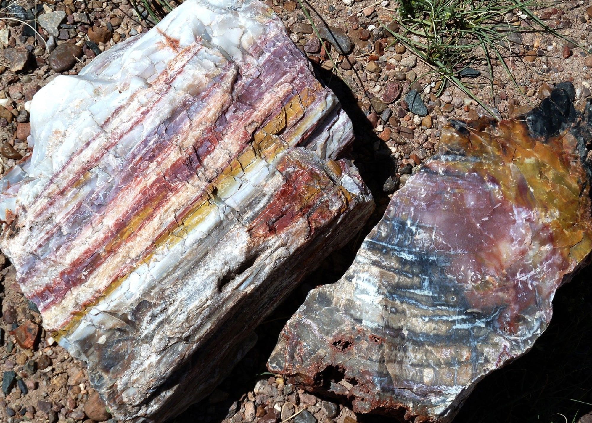 Mississippi Gem Mining: A Deep Dive into the State’s Precious Finds