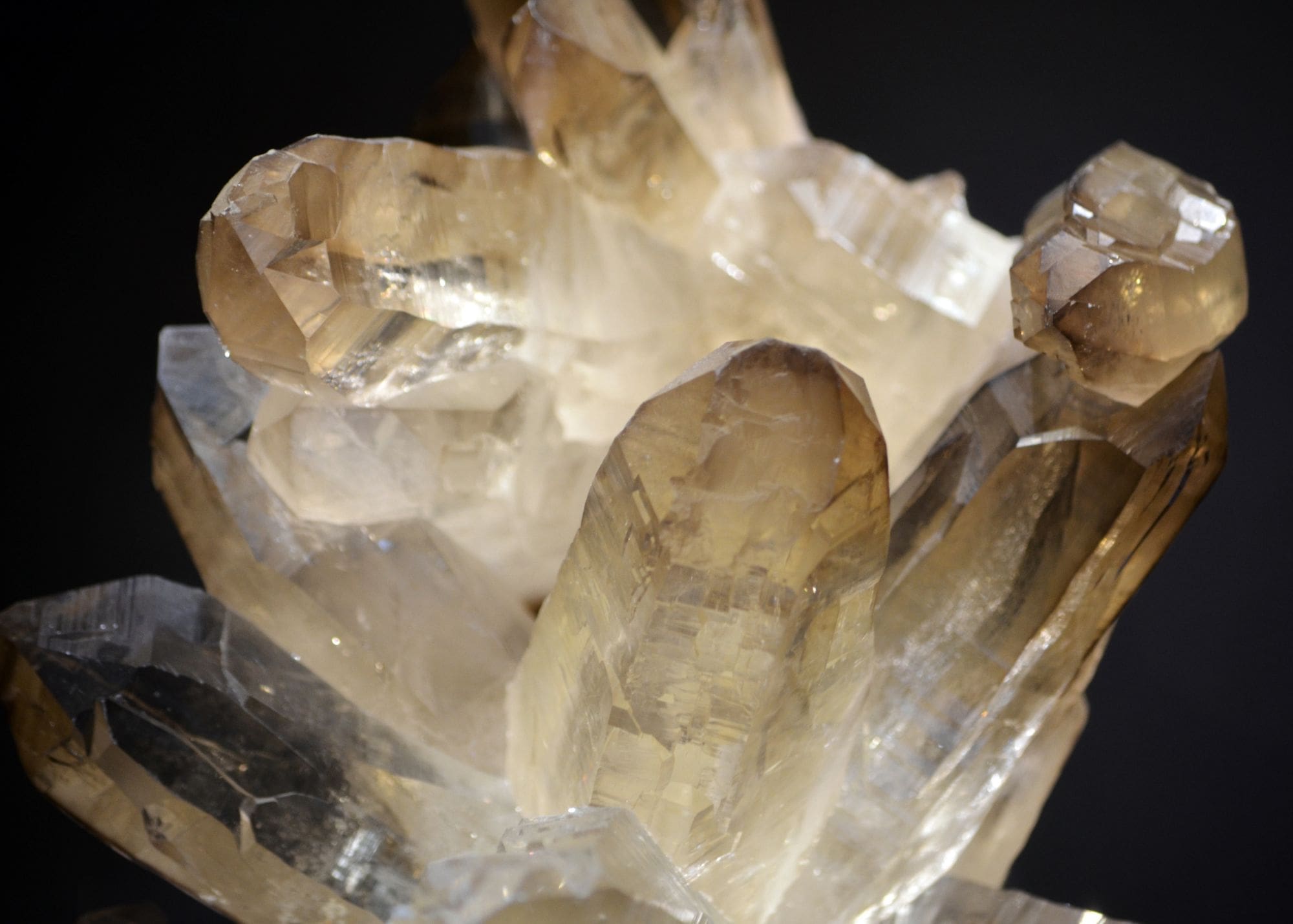 Nevada's Hidden Gems: Top Locations and Tips for Gem Mining