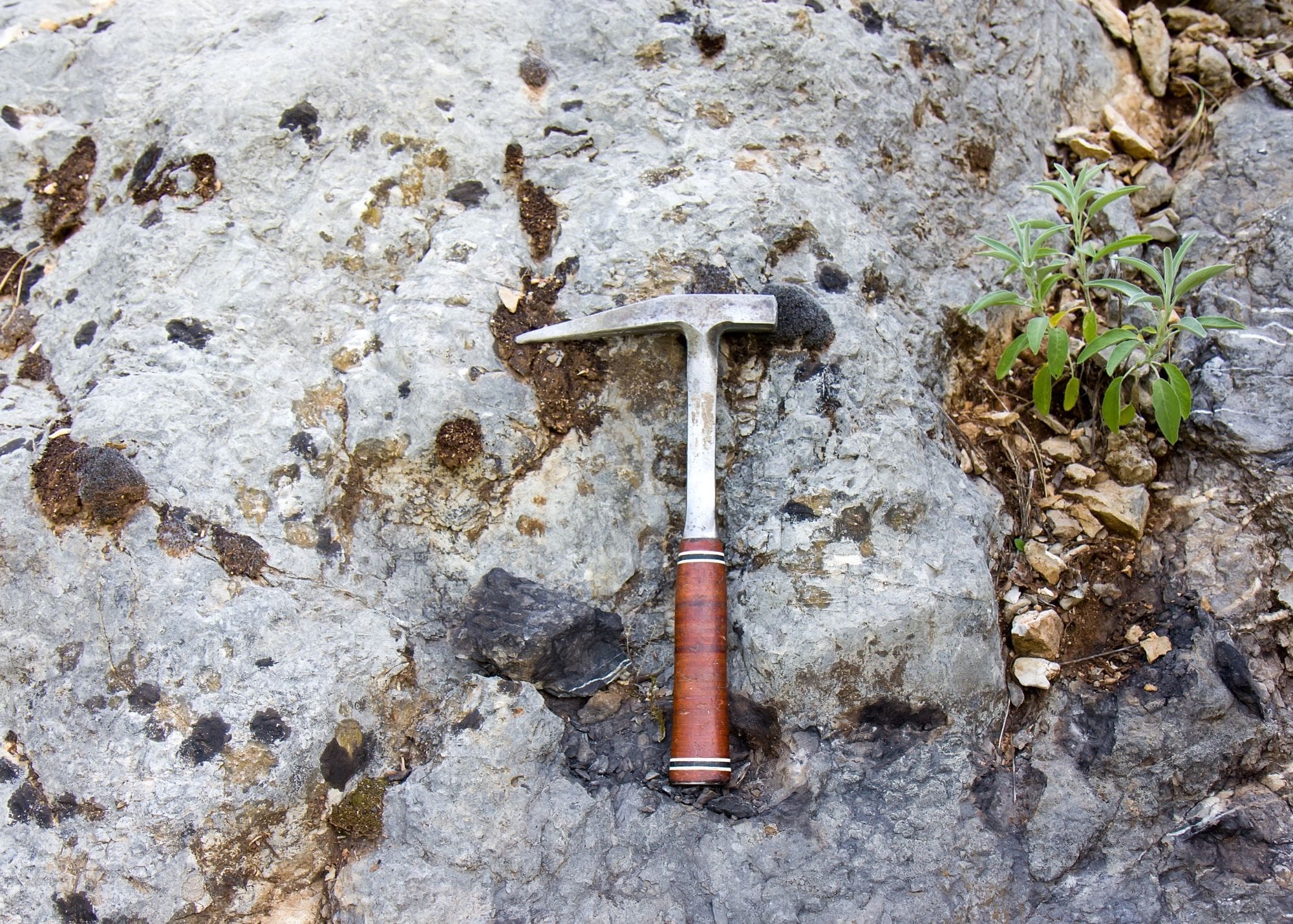 From Rough Stones to Radiant Gems: Your Ultimate Guide to Gem Mining in ...