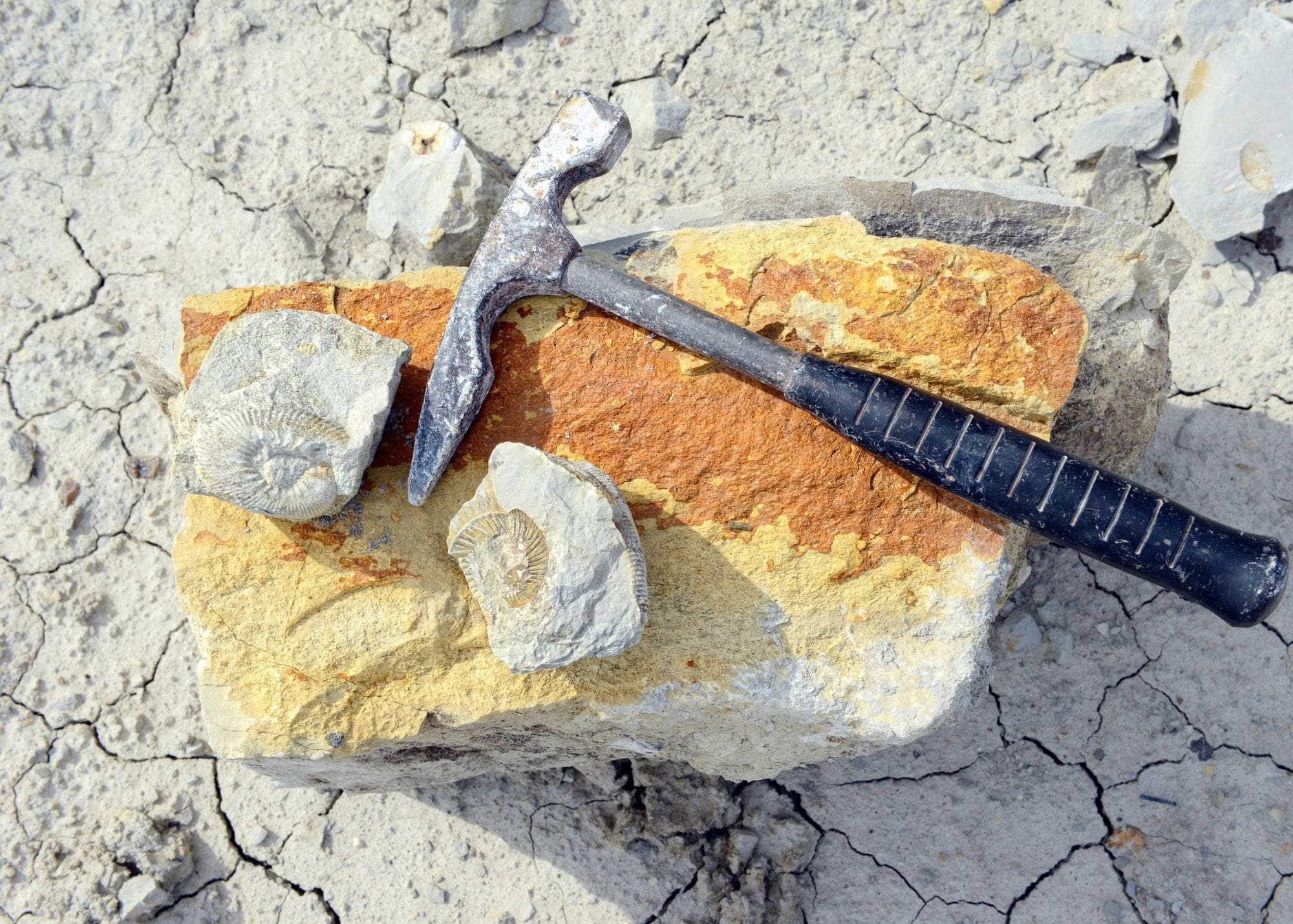 Gem Mining South Dakota: From History to Hands-On Exploration