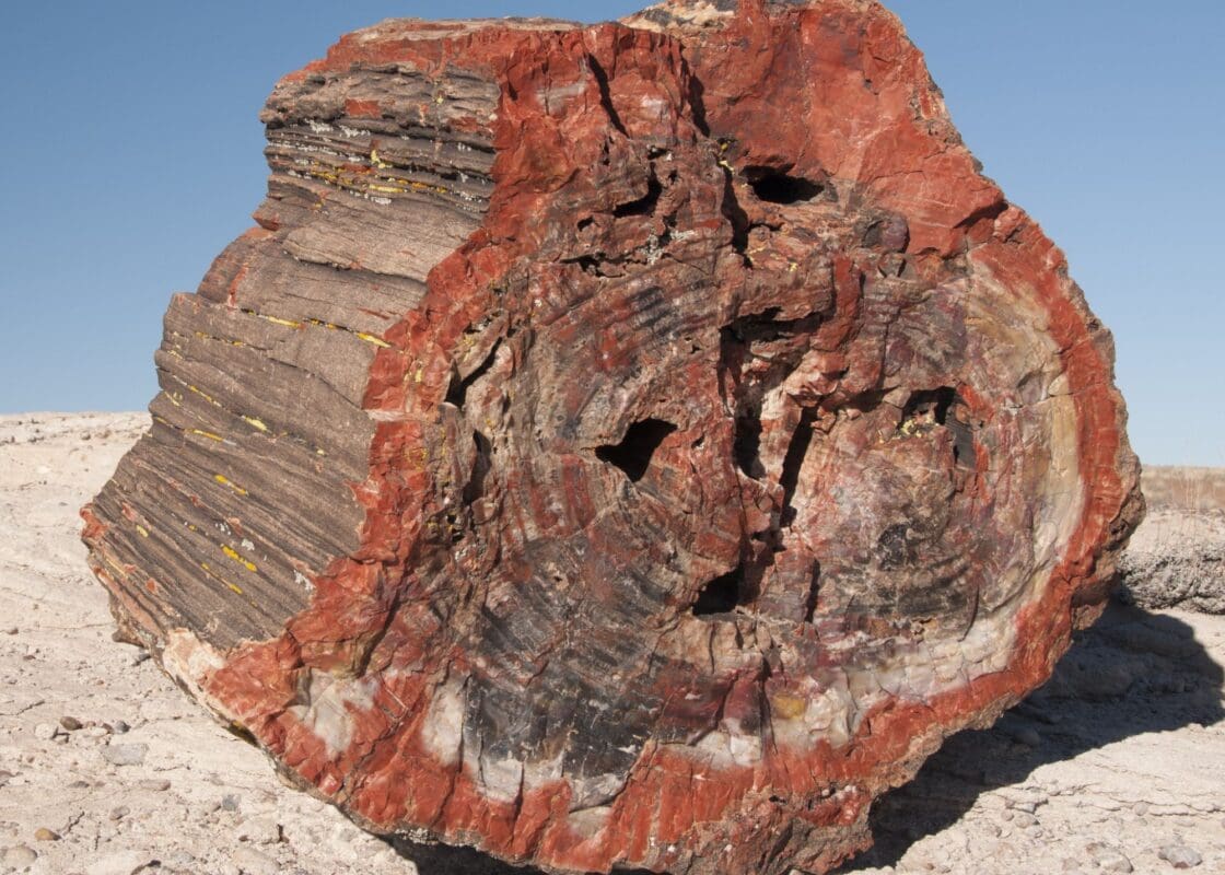 Wyoming Gem Mining: A Treasure Hunter's Ultimate Guide