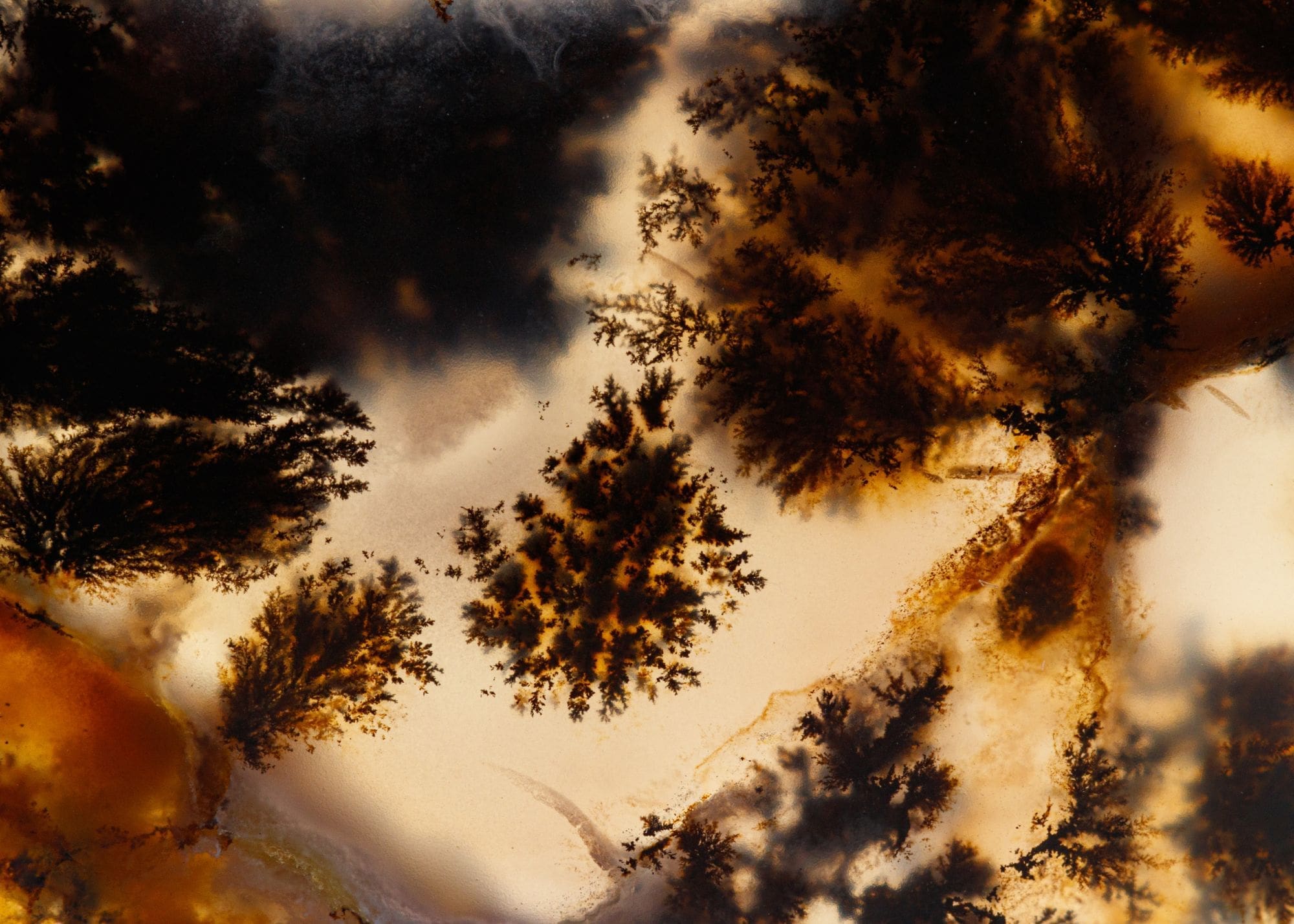 Agate Unveiled: Your Ultimate FAQ Guide