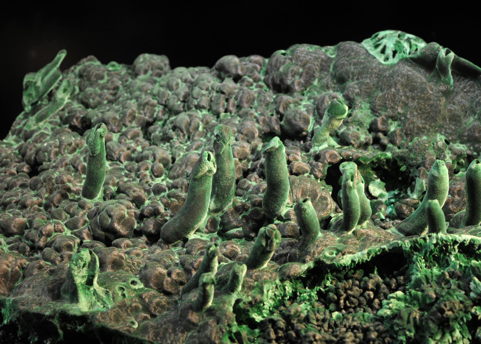 Malachite: A Collector’s Jewel of History and Vibrance