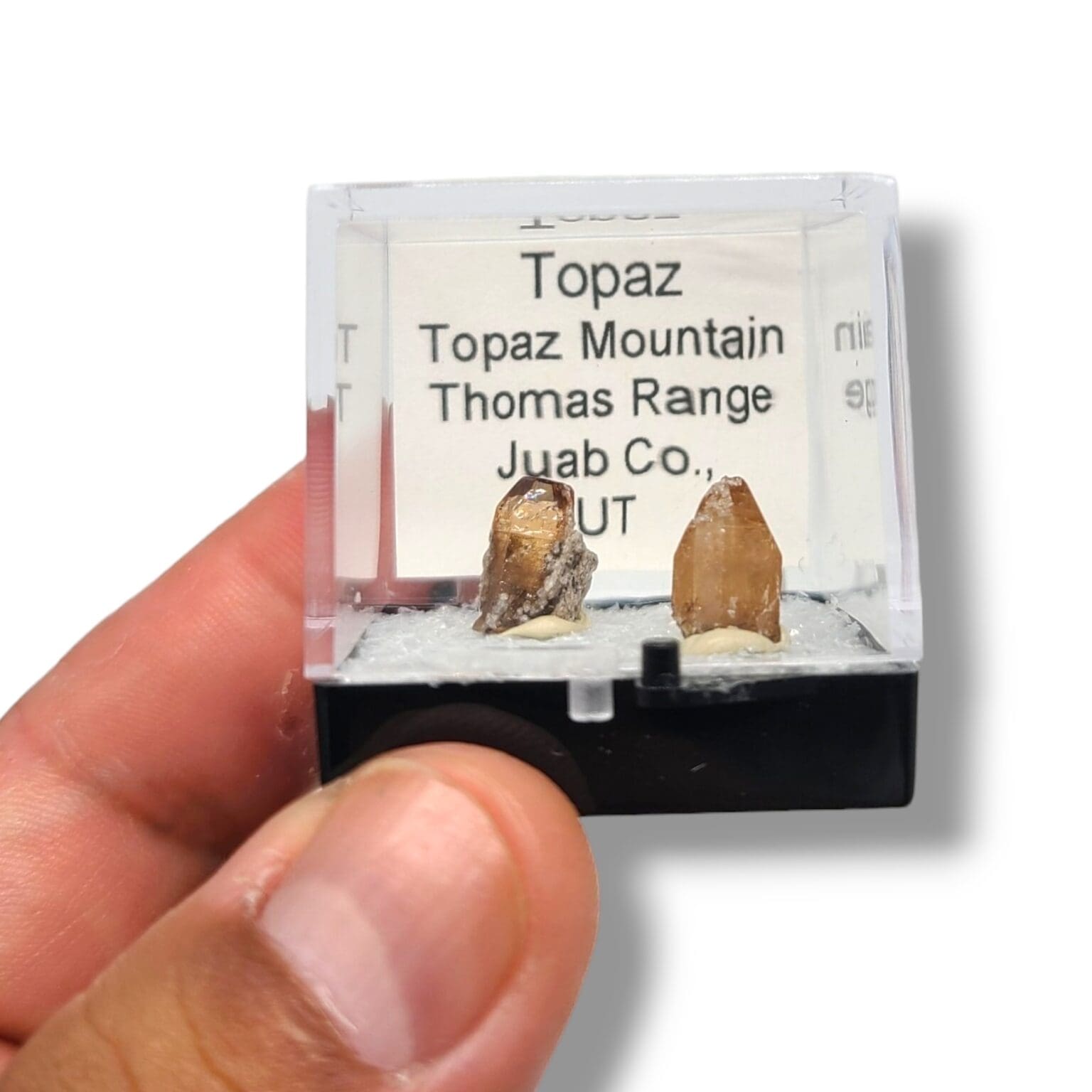 Topaz from Topaz Mountain, Utah - Dazzling Specimens in Perky Box ...