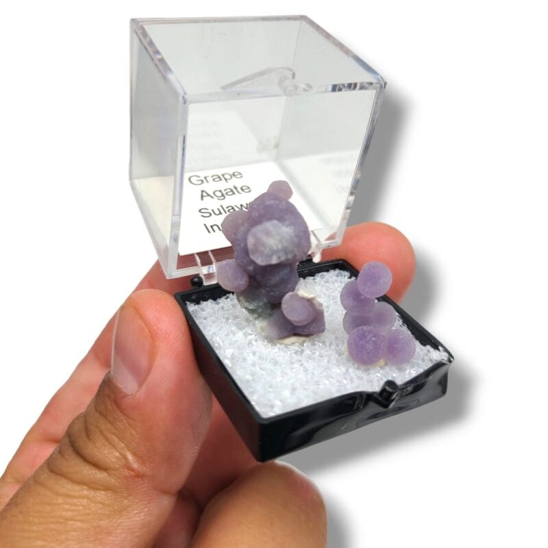 Grape Agate Sulawesi Indonesia - Exotic Botryoidal Specimens in Perky ...