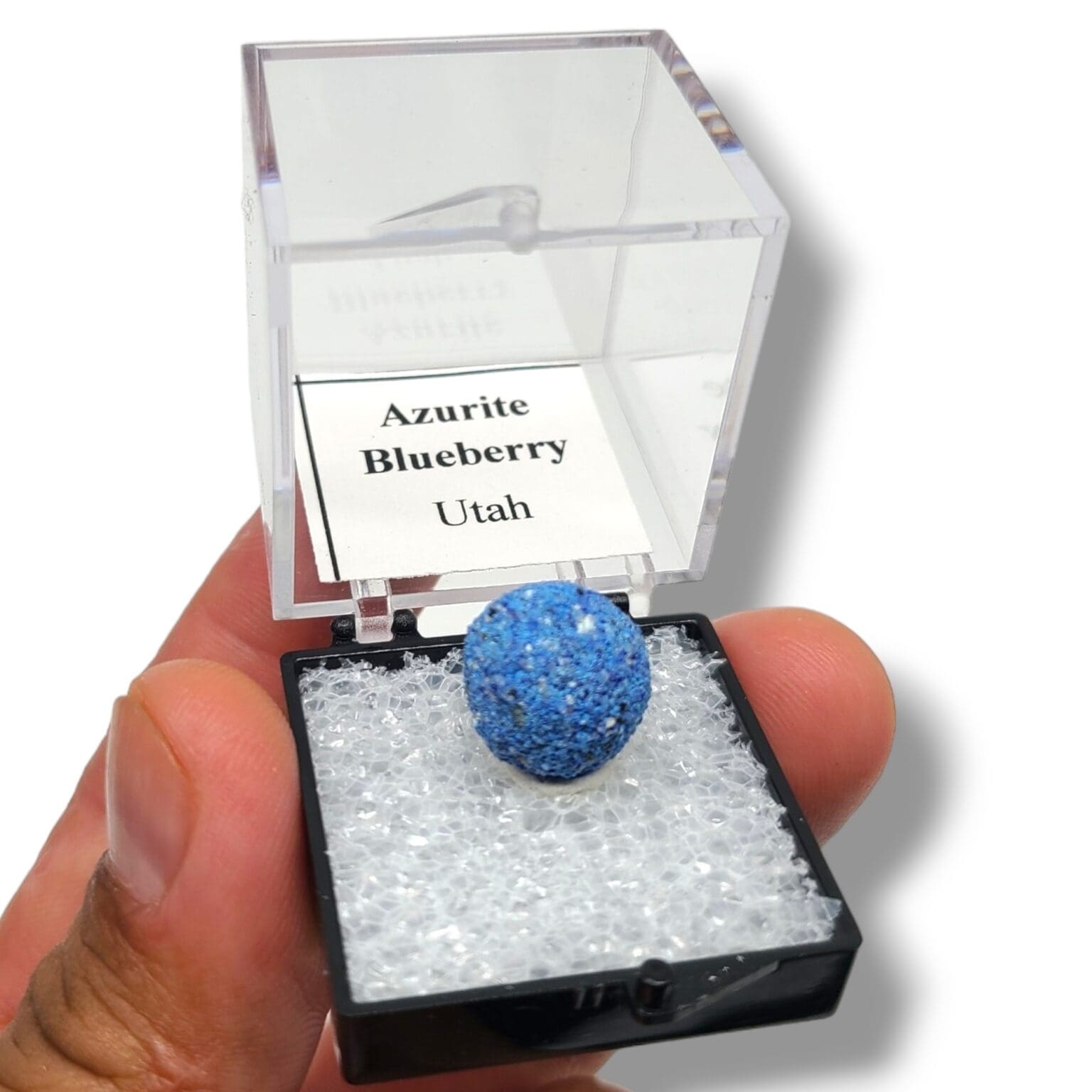 Azurite Blueberry Utah - Captivating Mineral Spheres in Perky Boxes