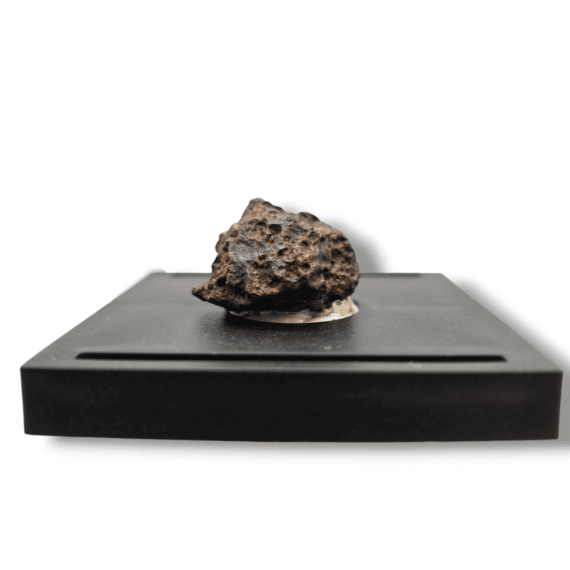 Chondrite Meteorite from Indonesia - Stony Meteorite